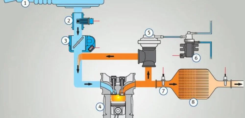 Eliminare la valvola EGR: vantaggi, rischi e guida completa - La Tua Auto